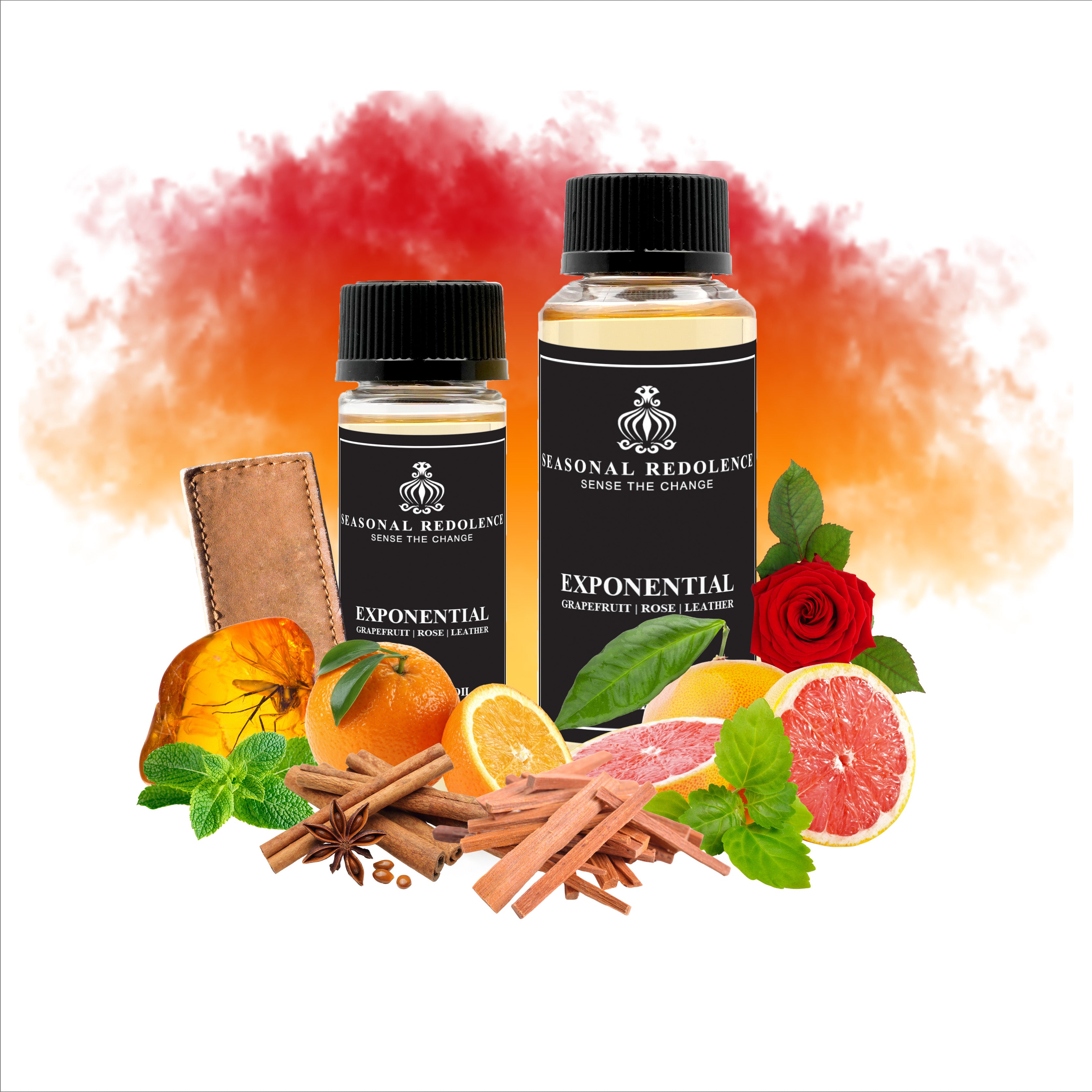 Exponential Luxury Home Diffuser Scent Oil – Seasonal Redolence